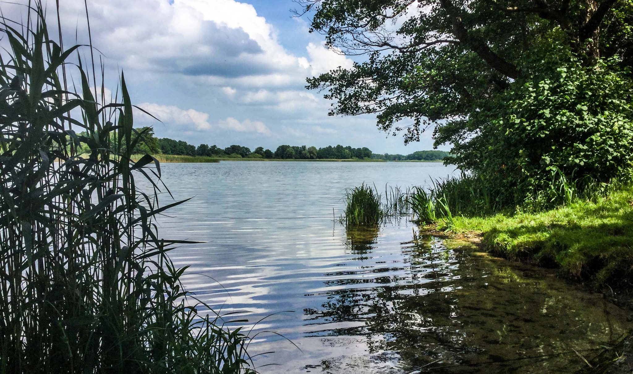 Neue LAVB-Gewässer! – Landesanglerverband Brandenburg e.V.