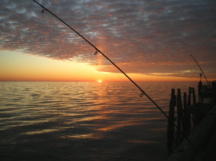 9 Michael Schulz II – Landesanglerverband Brandenburg e.V.