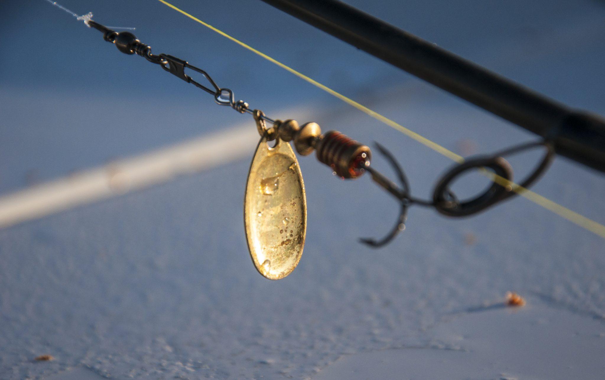 Veranstaltungshinweis: Spinnangeln des LAVB an diesem Sonntag ...