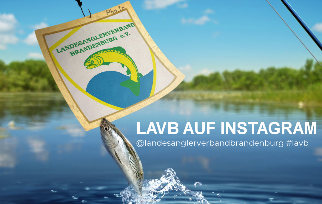Folgt uns! Der Landesanglerverband Brandenburg ist jetzt auch auf ...
